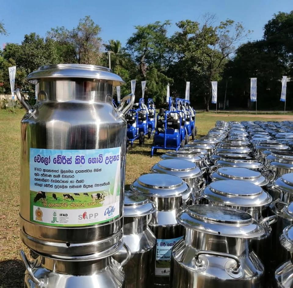 Chello Out-Grower Dairy Development Project – Smallholder Agribusiness ...