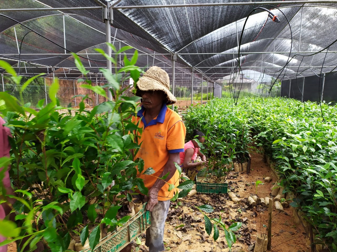 In Filling Program Beyond Traditional Practice for Sustainable ...