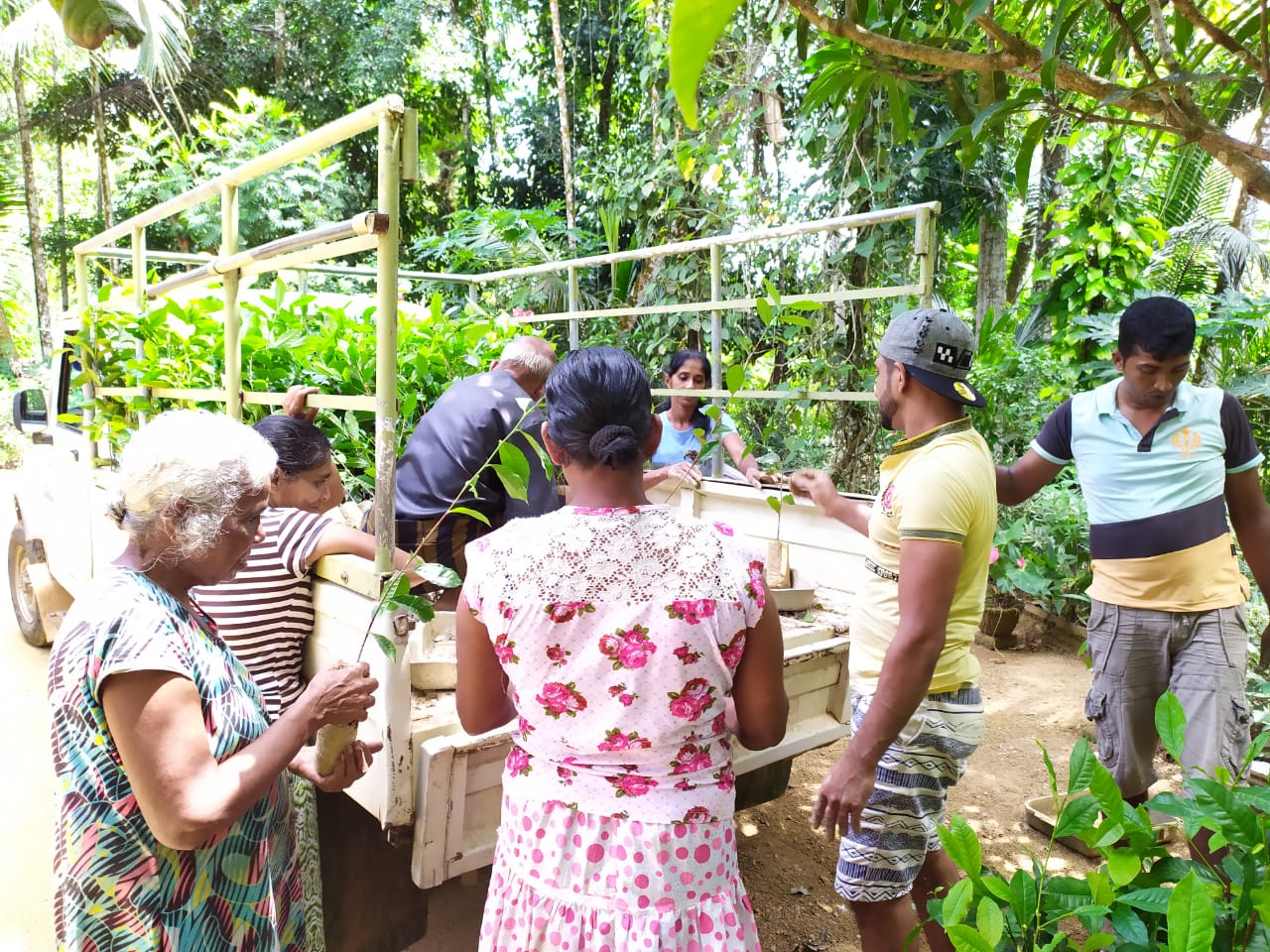 In Filling Program Beyond Traditional Practice for Sustainable ...