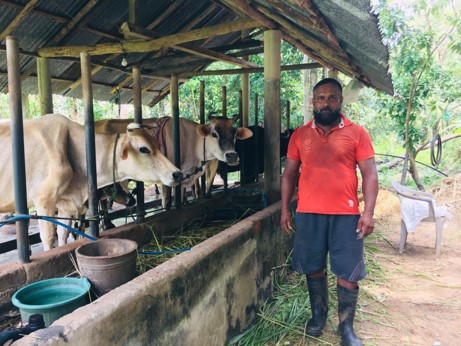 Livelihood Development of Smallholder Dairy Farmers – Smallholder Agribusiness Partnerships ...