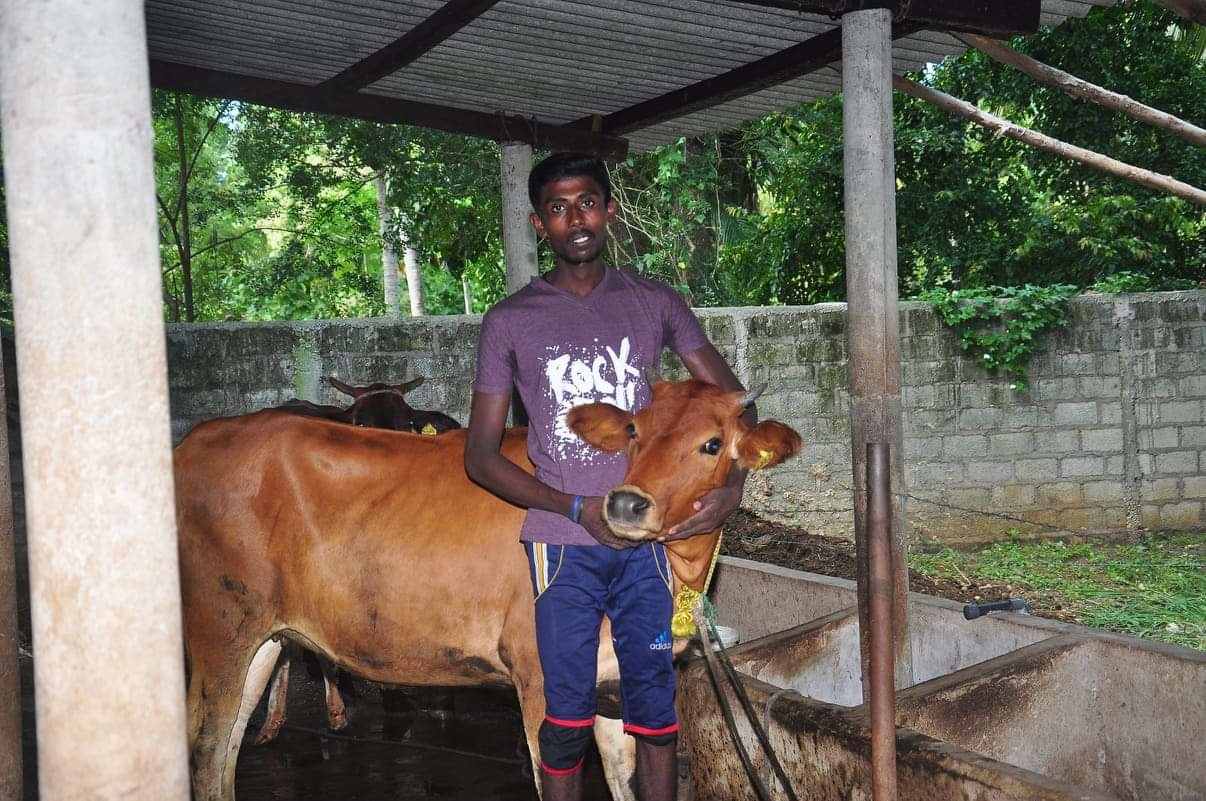 Chello Out-Grower Dairy Development Project – Smallholder Agribusiness ...