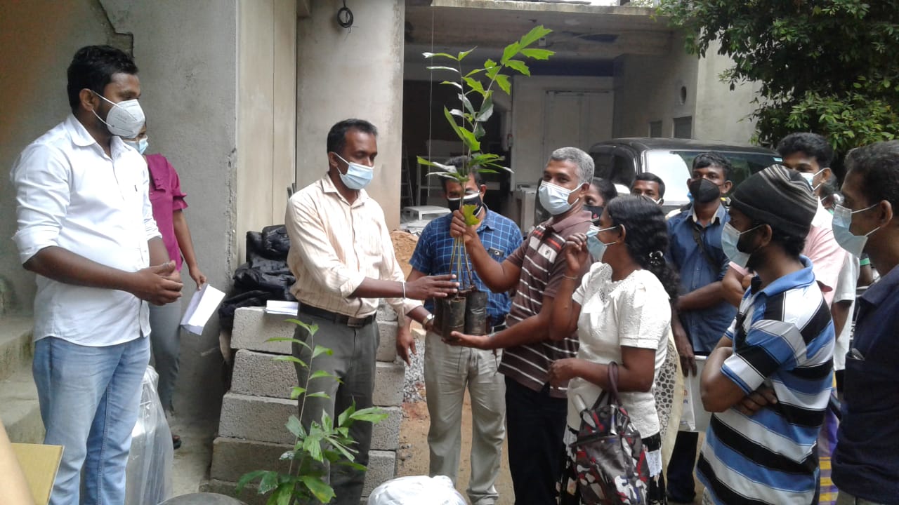 Livelihood Development of Smallholder Kithul Farmers – Smallholder ...