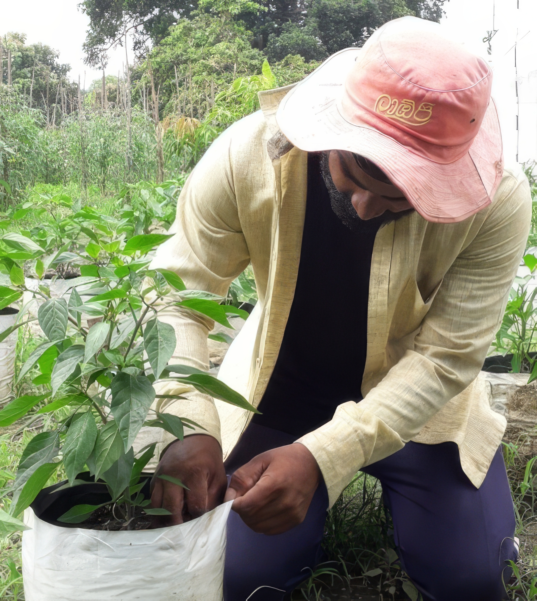 Empowering Young Farmers: Dinesh Roshan Peiris’ Success Story ...